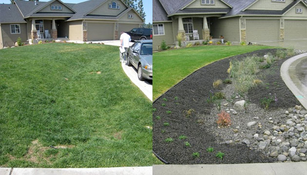 Gallery: Swales | Washington State Magazine | Washington State University