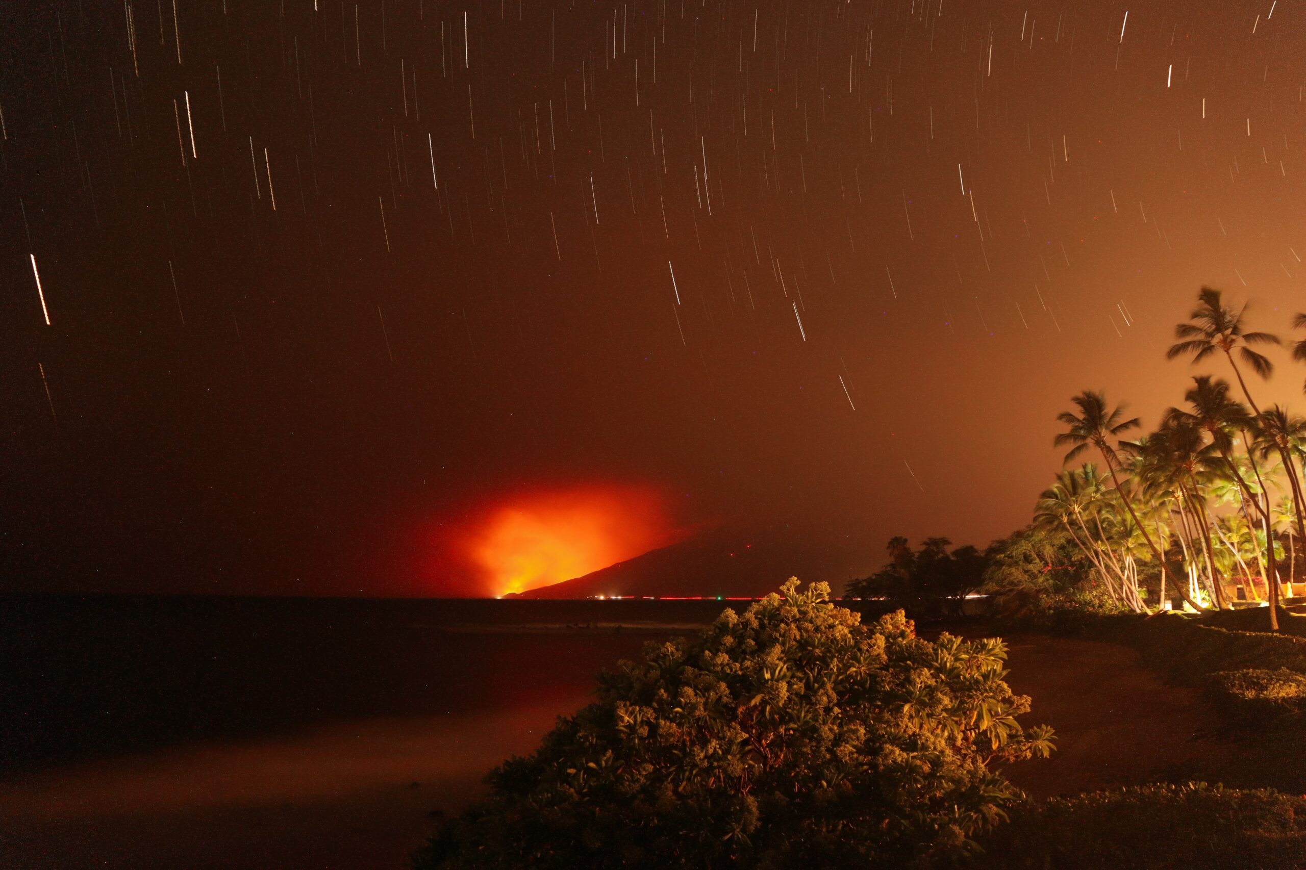 After the Maui Fires: Tim Richards | Washington State Magazine ...