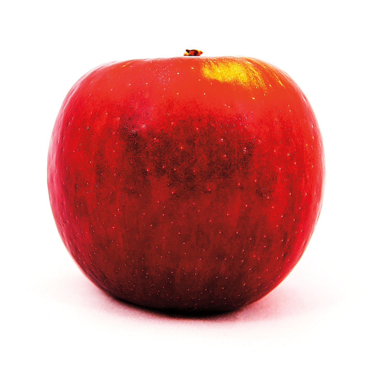 Food for a changing climate | Washington State Magazine | Washington ...