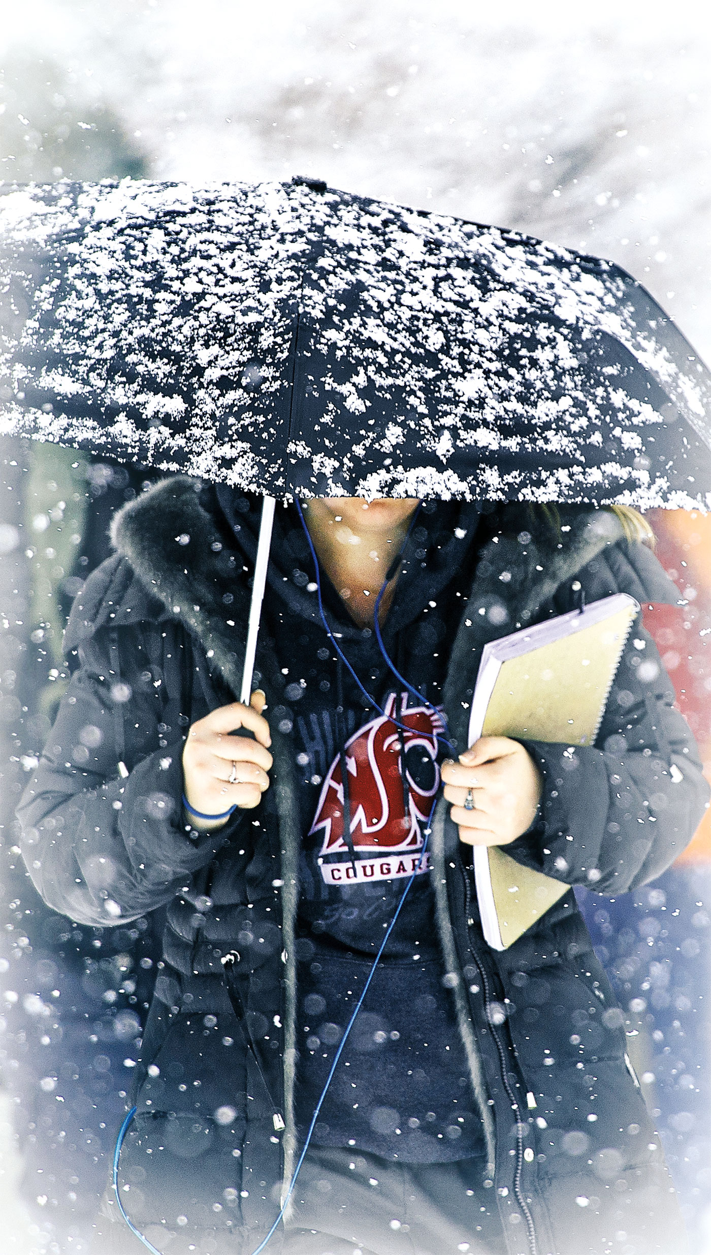 Digital magazine | Washington State Magazine | Washington State University