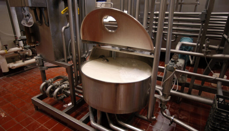 Gallery: The Cheesemaking Process at WSU Creamery | Washington State ...