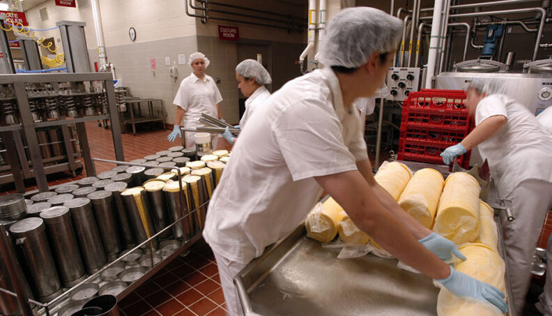 Gallery: The Cheesemaking Process at WSU Creamery | Washington State ...
