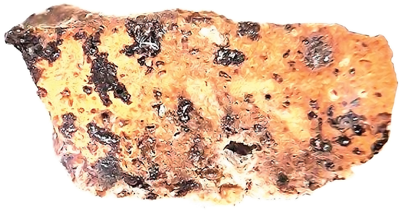 A solution becomes clear | Washington State Magazine | Washington State ...