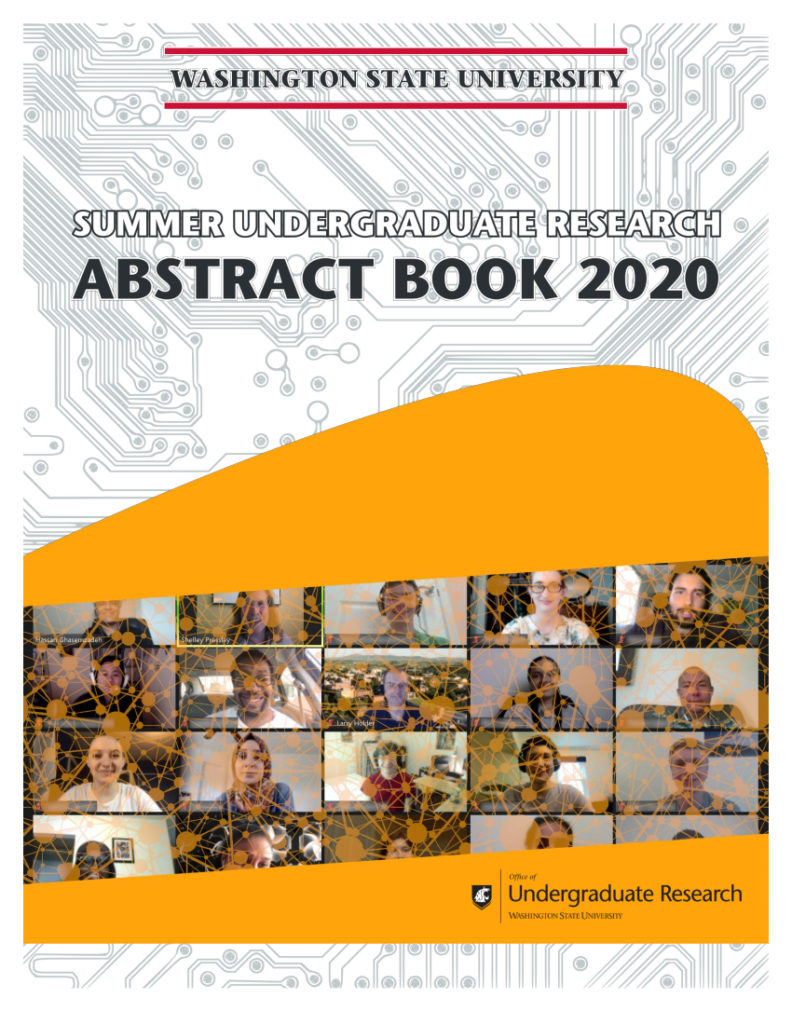 Previous Summer Research Experiences | Summer Research at WSU ...