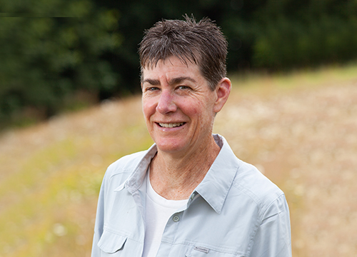 Organizational Structure | College of Education, Sport, and Human ...