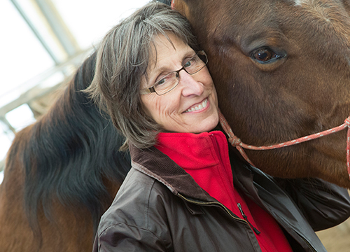 Organizational Structure | College of Education, Sport, and Human ...