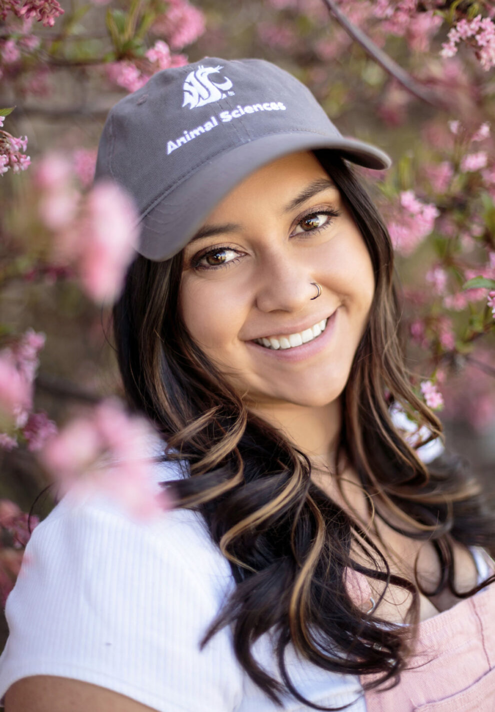 Directory | CAHNRS People Directory | Washington State University